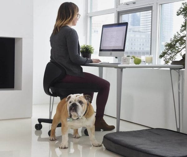 The Evolution of Comfort: A Deep Dive into Modern Ergonomic Office ...